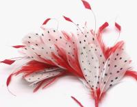 China Dyed Party Decoration Stripped Coque Feather and Goose Feather Flower Mount with Wire Accessory for sale
