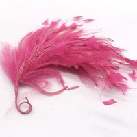 China Create a Spooky Atmosphere with 15*30 cm Emu Feather Flower Mount and Wire Accessory for sale