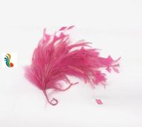 China Create a Spooky Atmosphere with 15*30 cm Emu Feather Flower Mount and Wire Accessory for sale