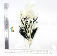 China 15*30 cm Party Decoration Hackle Feather and Stripped Coque Feather Flower Mount with Wire Accessory for sale