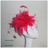 China DHL/UPS/FedEx/TNT Shipping Feather Headwear with Goose Feather Flower and Wire Accessory for sale