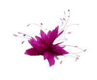 China Goose Feather and Stripped Coque Flower Mount Feather Headwear for Halloween 15*30 CM for sale
