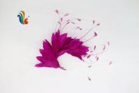 China Goose Feather and Stripped Coque Flower Mount Feather Headwear for Halloween 15*30 CM for sale