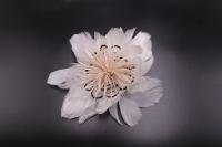 China Goose Feather Flower Mount with Wire Accessory 15*30 cm Size and Convenience for sale