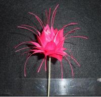 China Goose Feather Flower Mount Shipped Dyed Pattern 5*15 cm for sale