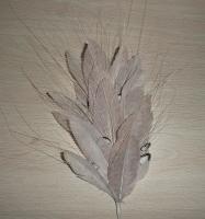 China Fast Shipping Goose Feather Flower Mount with DHL UPS FEDEX EMS TNT for sale