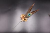 China 10*30 cm Brass Brooch featuring Dyed Pheasant Feather Flower Mount Detail Option for sale
