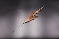 China Pheasant Feather Brass Brooch Mount with Fast Shipping via DHL UPS FEDEX EMS TNT for sale
