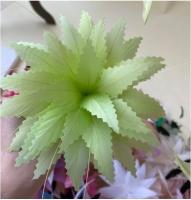 China 15x15 Cm Flower Feather Mounts Stripped Goose Feather With Wire Accessory for sale