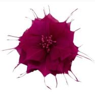 China Elegance To Your Event Party Supplies With Goose Feather Flower Mount for sale