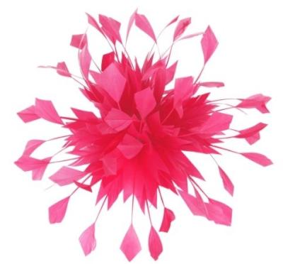 China 15x15cm Goose Millinery Feather Flowers Feather Mounts With Wire Accessory Pattern Dyed for sale