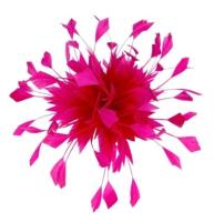China 15x15cm Goose Millinery Feather Flowers Feather Mounts With Wire Accessory Pattern Dyed for sale