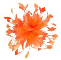 China 15x15cm Goose Millinery Feather Flowers Feather Mounts With Wire Accessory Pattern Dyed for sale