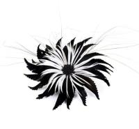 China Goose Feather Flower Mount with Wire Accessory Event Party Supplies Shipping Solution for sale