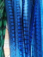 China Carinval Costumes Decoration Fake Lady Amherst Pheasant Feather for sale