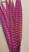 China Carinval Costumes Decoration Fake Lady Amherst Pheasant Feather for sale