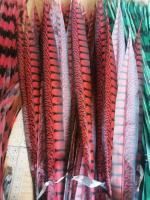 China Carinval Costumes Decoration Fake Lady Amherst Pheasant Feather for sale