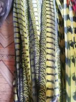 China Carinval Costumes Decoration Fake Lady Amherst Pheasant Feather for sale