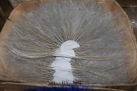China Millinery Supplies Party Decoration Burnt Ostrich Plumes for sale