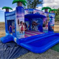 China Custom Inflatable Bounce House Combo with Water Pool Slide 12ft Palm Tree Theme for Commercial Rental for sale
