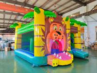 China Kids Inflatable Air Castle Jumping Bouncer 110V Blower Custom Size PVC Tarpaulin for sale