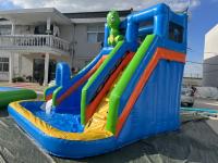 China Inflatable Water Slide for Kids 5x4x3.5M PVC Tarpaulin Blow Up Slide for Backyard Outdoor Fun for sale