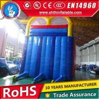 China Inflatable Water Slide with Swimming Pool for Kids and Adults 10ft x 8ft for sale