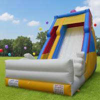 China Commercial Inflatable Water Slide Land Slide 8x4x7m Customized Jumbo Double Slide for Kids for sale