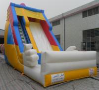 China Commercial Inflatable Water Slide Land Slide 8x4x7m Customized Jumbo Double Slide for Kids for sale