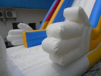 China Commercial Inflatable Water Slide Land Slide 8x4x7m Customized Jumbo Double Slide for Kids for sale