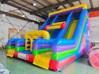 China Custom Double Lane Inflatable Land Slide 8x6x6m Durable PVC Amusement Structure for Kids and Adults for sale