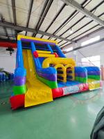China Custom Double Lane Inflatable Land Slide 8x6x6m Durable PVC Amusement Structure for Kids and Adults for sale