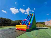 China Large Inflatable Slide Giant Playground Slide Commercial Inflatable Amusement Equipment for Kids Adults 2 Year Warranty for sale