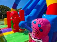 China Large Inflatable Slide Giant Playground Slide Commercial Inflatable Amusement Equipment for Kids Adults 2 Year Warranty for sale