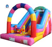 China Custom Inflatable Dry Slide for Kids and Adults 130kg Weight Capacity PVC Tarpaulin for sale
