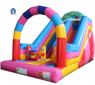 China Custom Inflatable Dry Slide for Kids and Adults 130kg Weight Capacity PVC Tarpaulin for sale