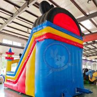 China Custom Thick PVC Inflatable Slide Castle 10x5x9m for Commercial Rental Business for sale