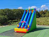 China Giant Inflatable Double Lane Water Slide 9m Height Commercial Grade PVC Dual Lane Slide for Outdoor Events Party Rental for sale