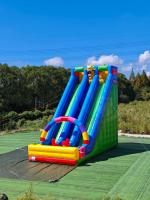 China Giant Inflatable Slide 8m Long Commercial Dry Land Slide for Outdoor Event Amusement Park for sale