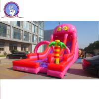 China Inflatable Jumper Castle Slide 10x5x6m Commercial Bounce House with Blower for sale