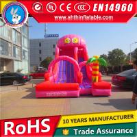 China Inflatable Jumper Castle Slide 10x5x6m Commercial Bounce House with Blower for sale