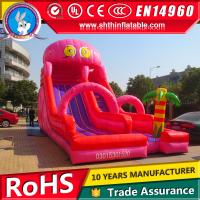 China Inflatable Jumper Castle Slide 10x5x6m Commercial Bounce House with Blower for sale