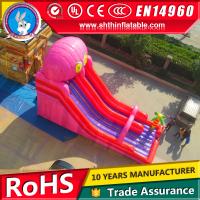 China Inflatable Jumper Castle Slide 10x5x6m Commercial Bounce House with Blower for sale
