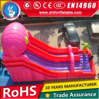China Inflatable Jumper Castle Slide 10x5x6m Commercial Bounce House with Blower for sale