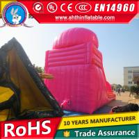 China Inflatable Jumper Castle Slide 10x5x6m Commercial Bounce House with Blower for sale
