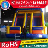 China Commercial PVC Double Lane Inflatable Land Slide Dry Slide 6x5.5x5m for sale