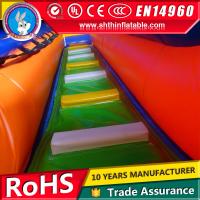 China Commercial PVC Double Lane Inflatable Land Slide Dry Slide 6x5.5x5m for sale