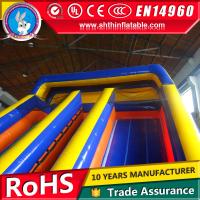 China Commercial PVC Double Lane Inflatable Land Slide Dry Slide 6x5.5x5m for sale