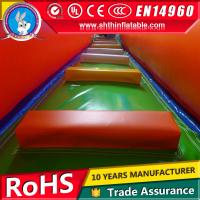China Commercial PVC Double Lane Inflatable Land Slide Dry Slide 6x5.5x5m for sale