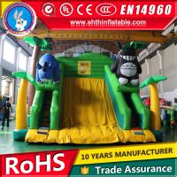 China Custom Inflatable Cartoon Slide 8x6x5.4m with 0.55mm PVC Tarpaulin for Commercial Use for sale